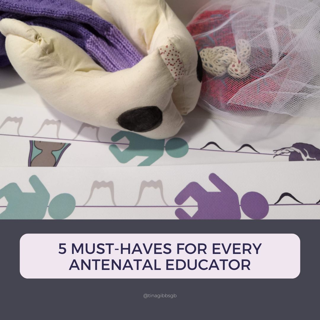 5 must-haves for every antenatal educator – Pregnancy to Birth
